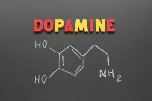 How to Hack Dopamine | Journey To Optimal Health